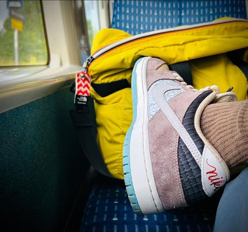 Lookbook - Nike Dunk Low SB 'Big Money' FZ3129-200 - Novelship