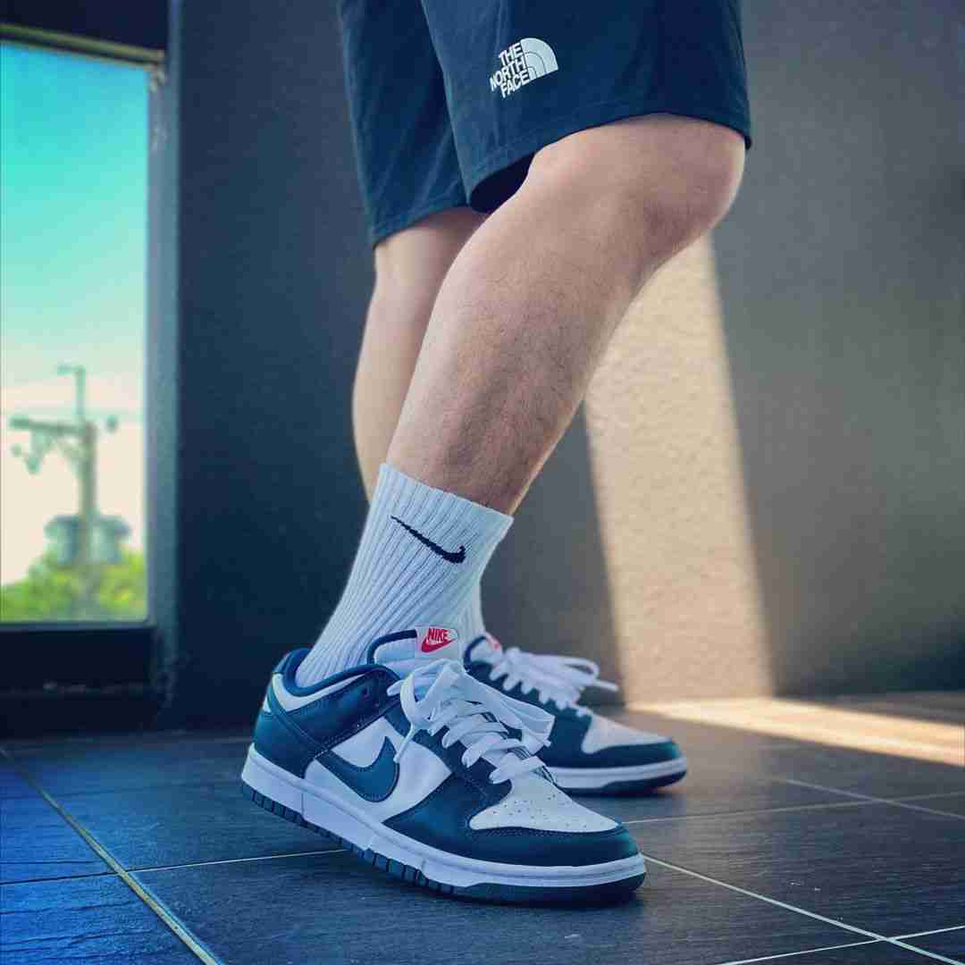 Nike Dunk Low 'Valerian Blue' DD1391-400 - DD1391-400 - Novelship