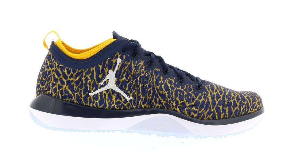 Air Jordan Trainer 1 Low Michigan - 845403-420 - Novelship
