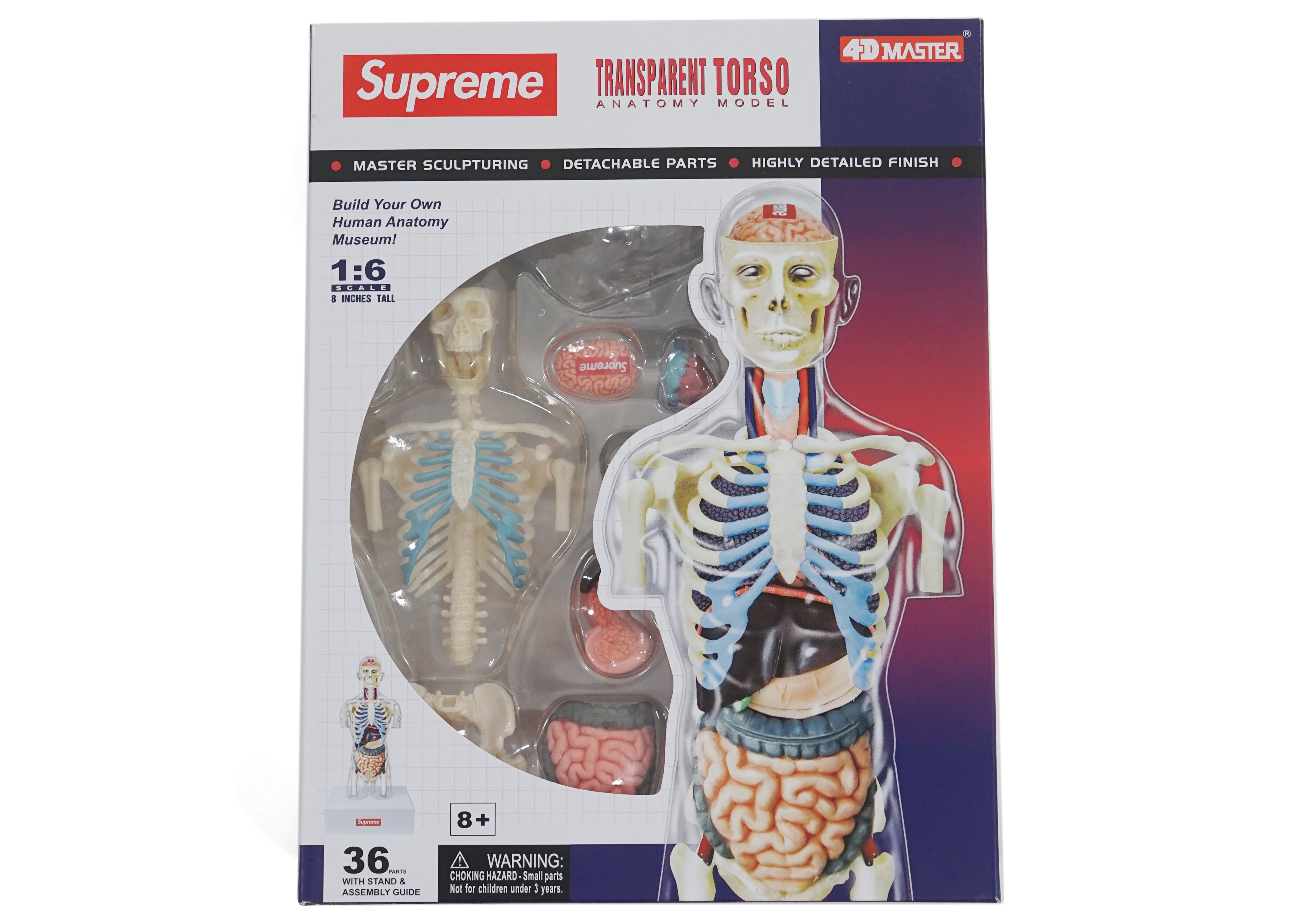 Supreme Male Anatomy Model Clear 구매하기 - 노블쉽