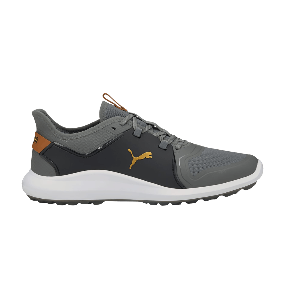 Puma Ignite Fasten8 'Quiet Shade' 193000-01 - 193000-01 - Novelship