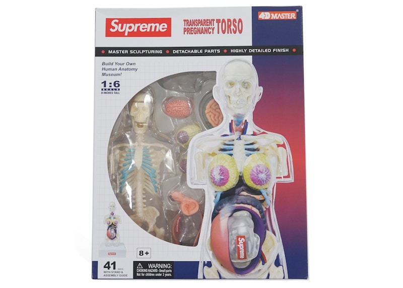 Supreme Female Anatomy Model Clear - Great Gifts Club