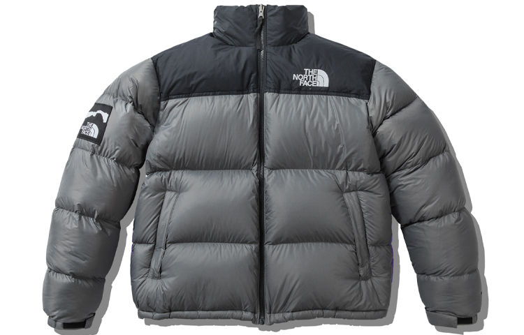 Buy The North Face x INVINCIBLE 1996 Retro Nuptse Embroidered Jacket ...